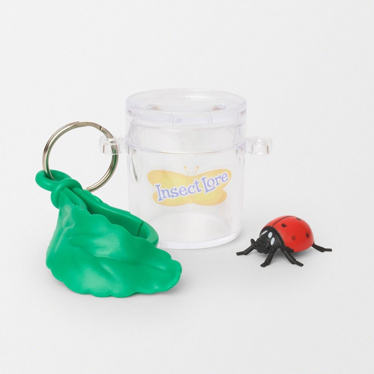 Insect Lore Clip-On Critter Carrier | Magnification Lens Lid