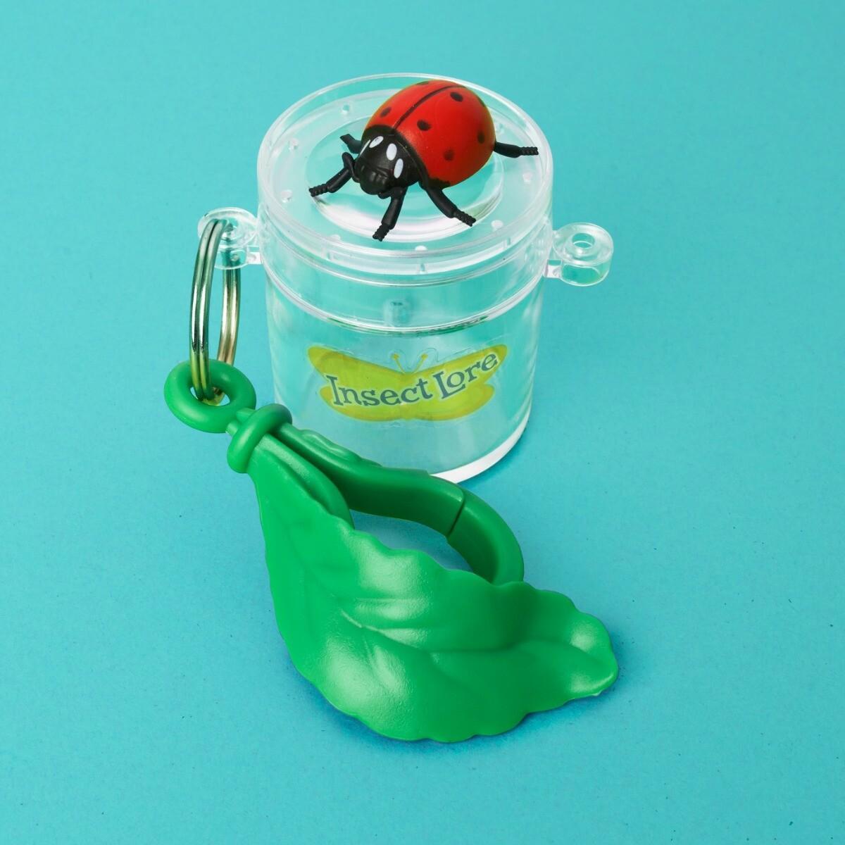 Insect Lore Clip-On Critter Carrier | Magnification Lens Lid