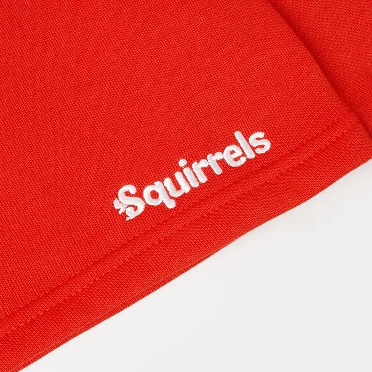 squirrels logo scouts