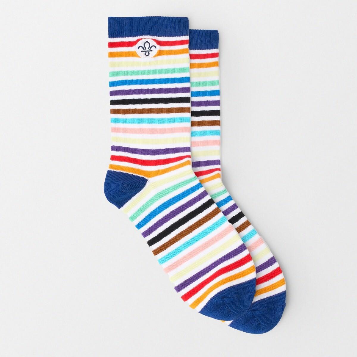 Scout Pride Progressive Flag Socks | Pride Socks