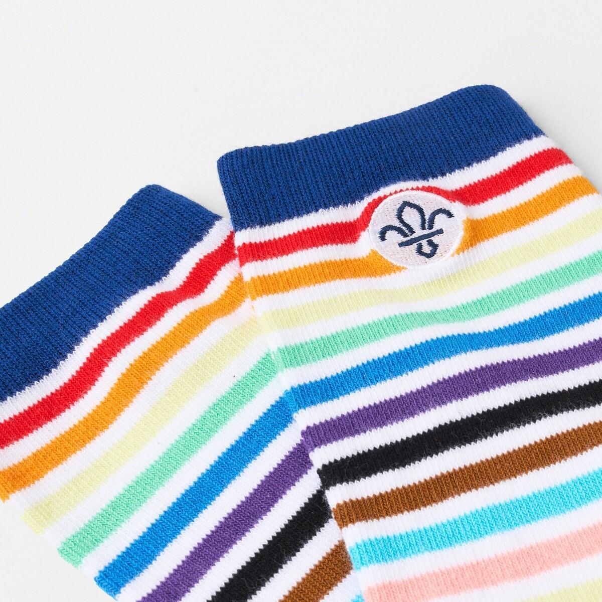 Scout Pride Progressive Flag Socks | Pride Socks