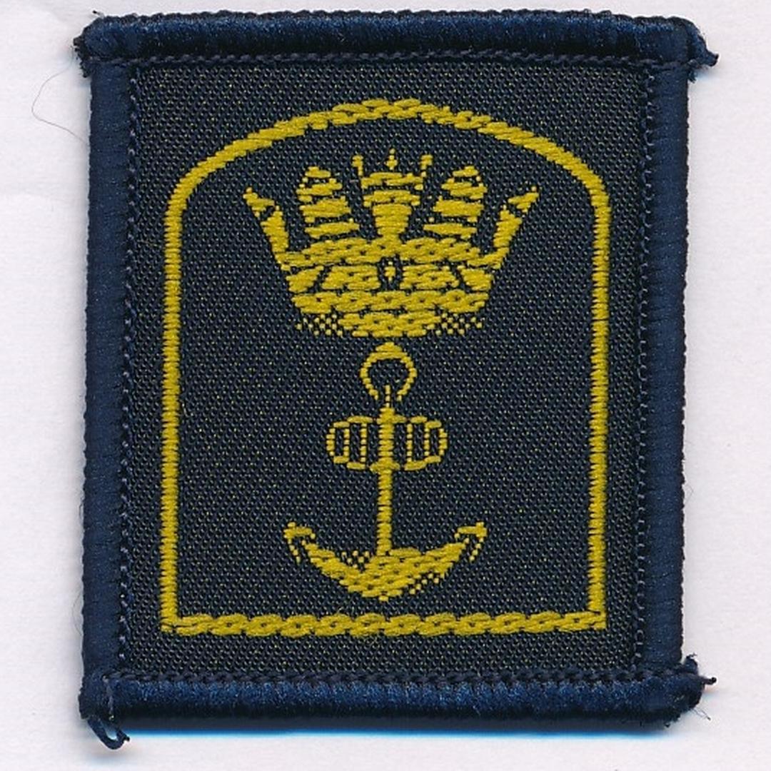 R.N. Recognition badge Volunteer Leaders