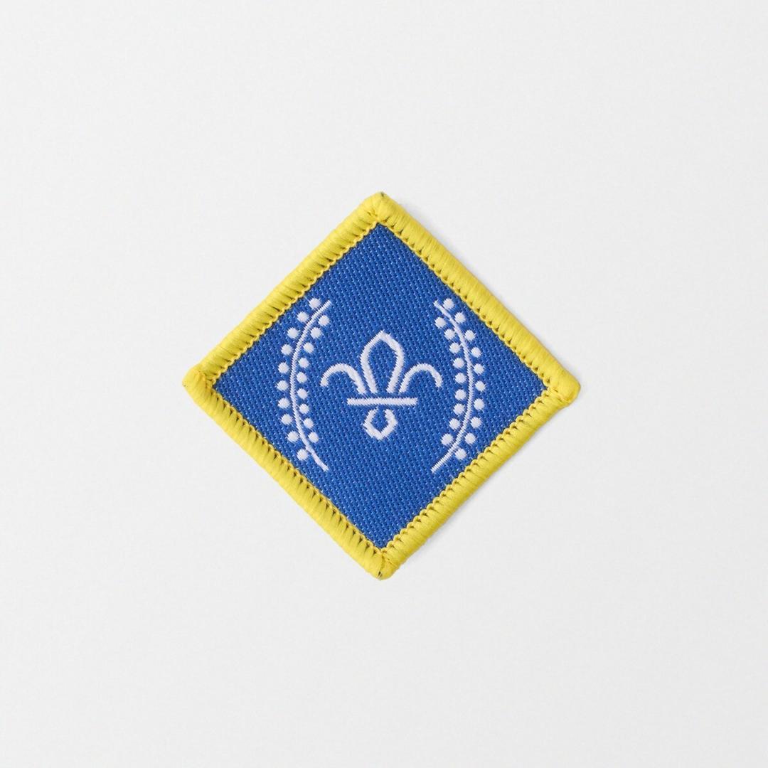 Chief Scouts Platinum Award Badge