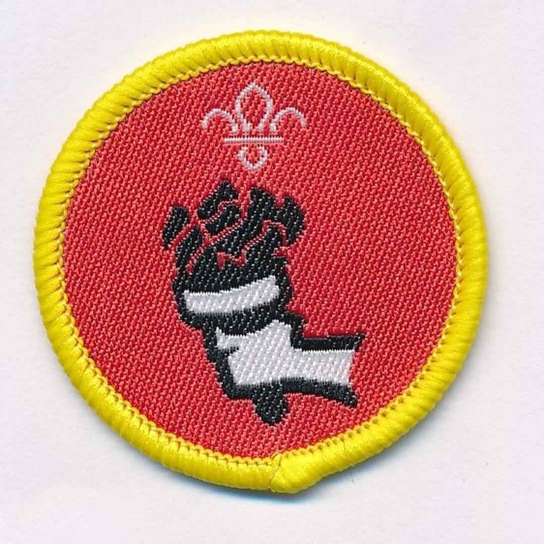 Cub Scout Sports Enthusiast Badge Volunteer Leaders