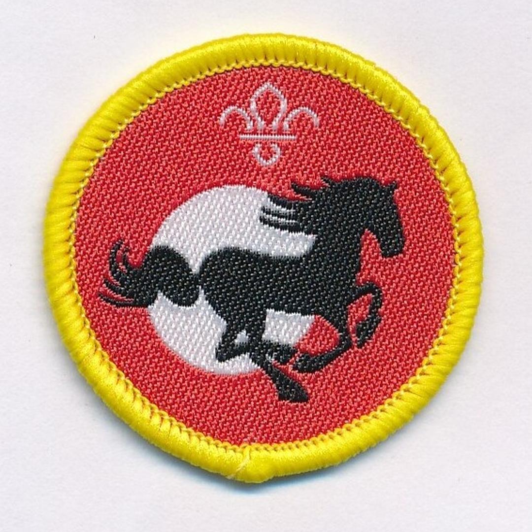 Cub Scout Equestrian Badge Volunteer Leaders