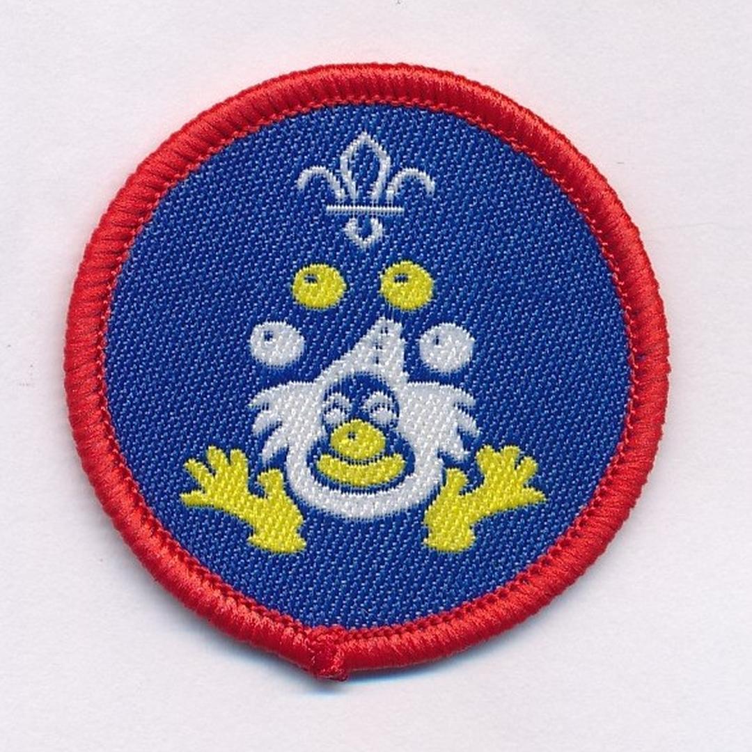 Scouts Circus Skills Activity Badge Volunteer Leaders