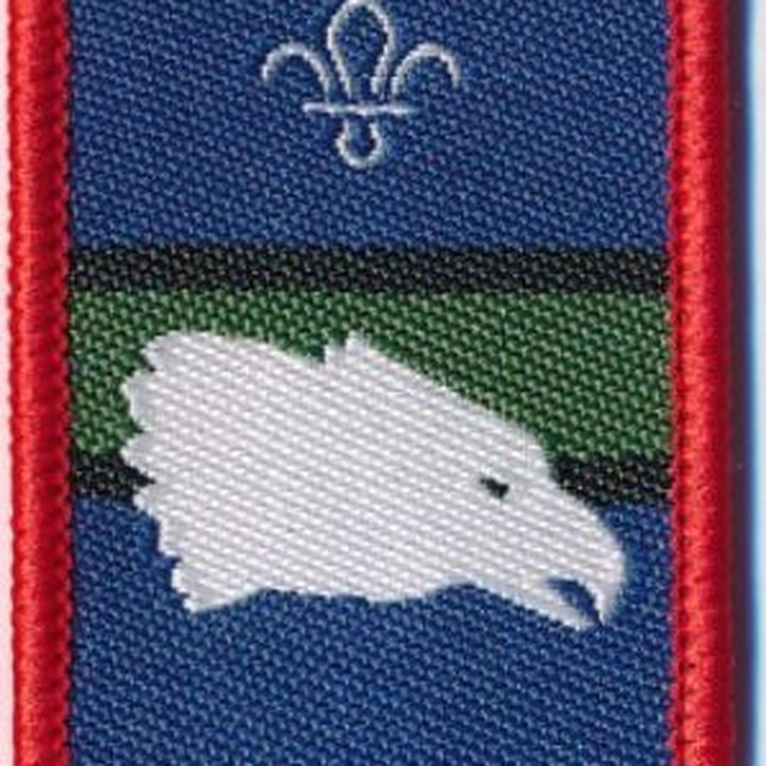 Scout Patrol Badge Eagle Volunteer Leaders