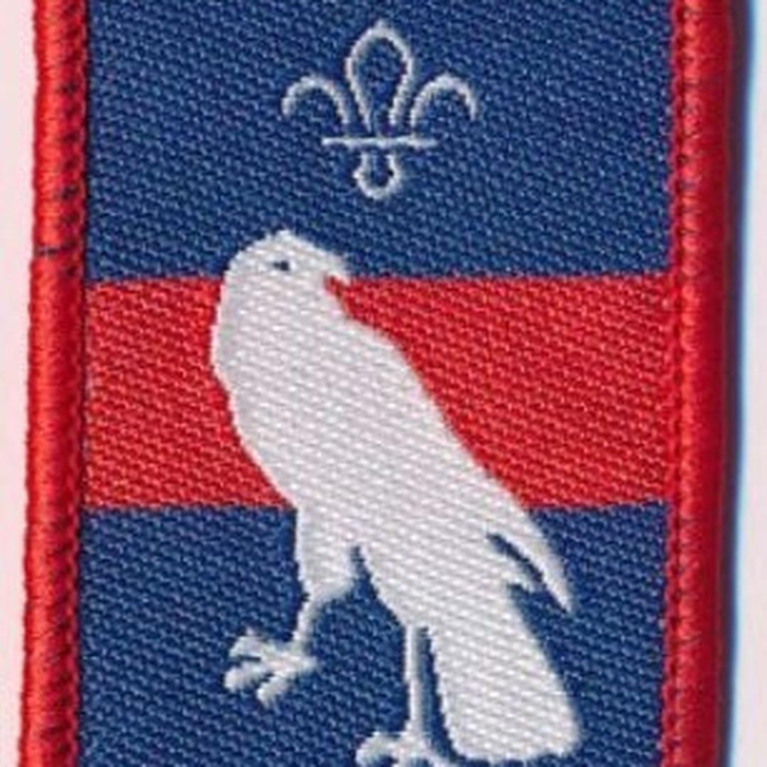 Scout Patrol Badge Hawk Volunteer Leaders
