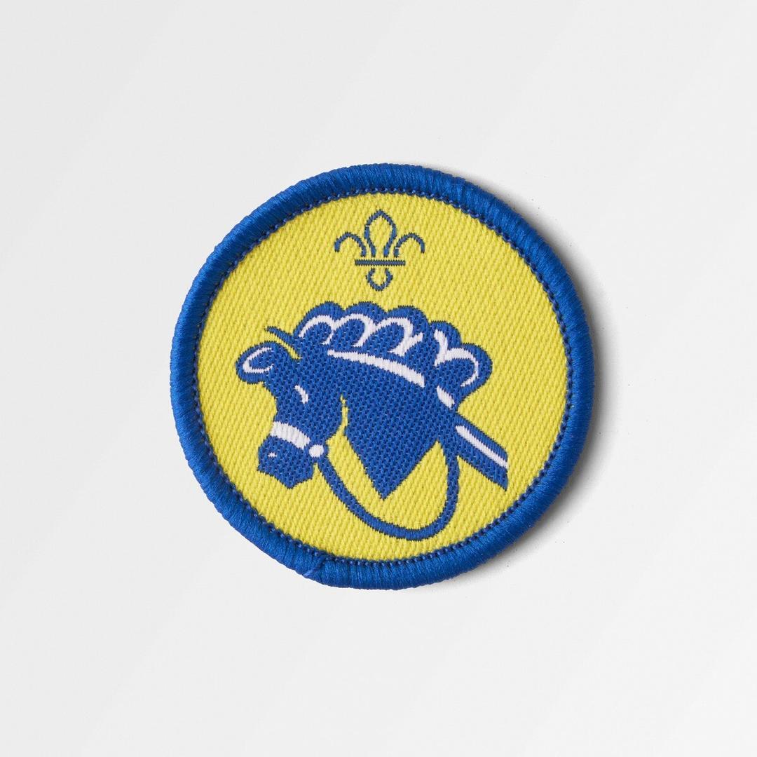 Beaver Scouts Hobbies Activity Badge
