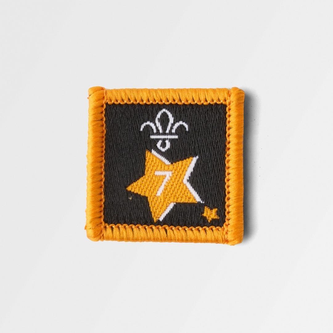 Joining in Award Badge 7 | Scouts