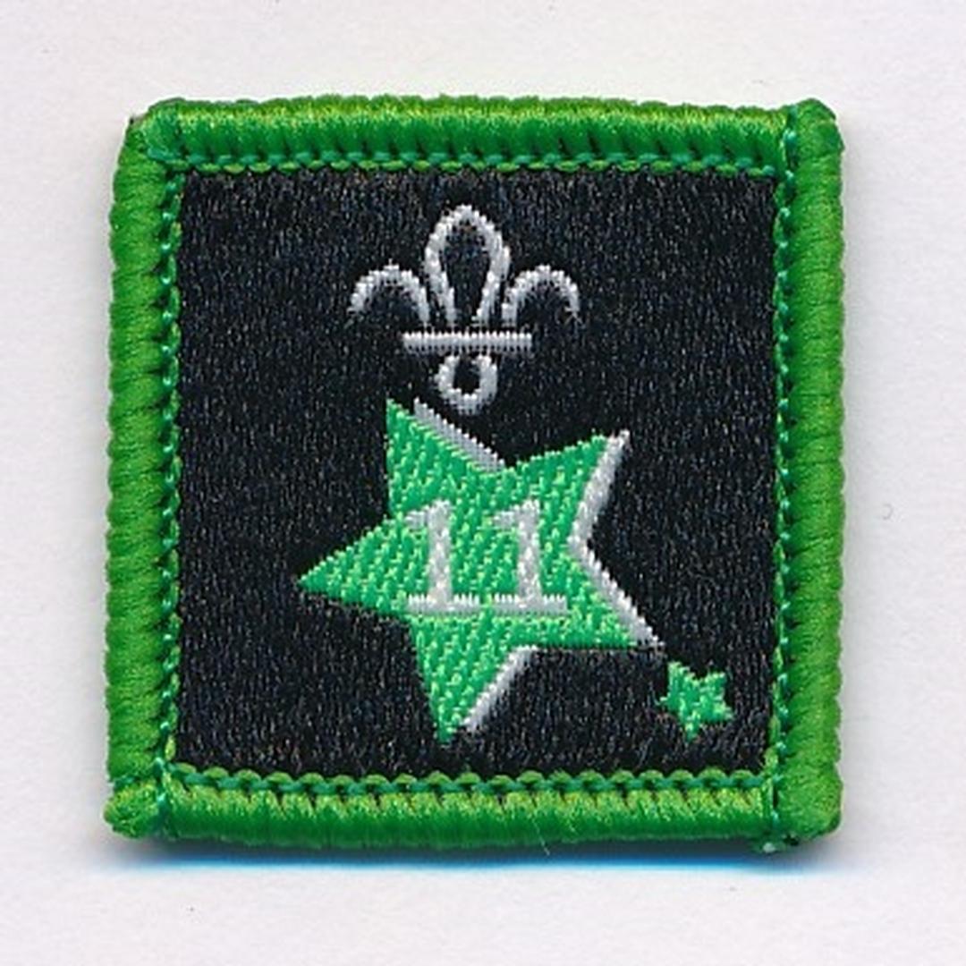 Joining in Award Badge 11 | Scouts Volunteer Leaders