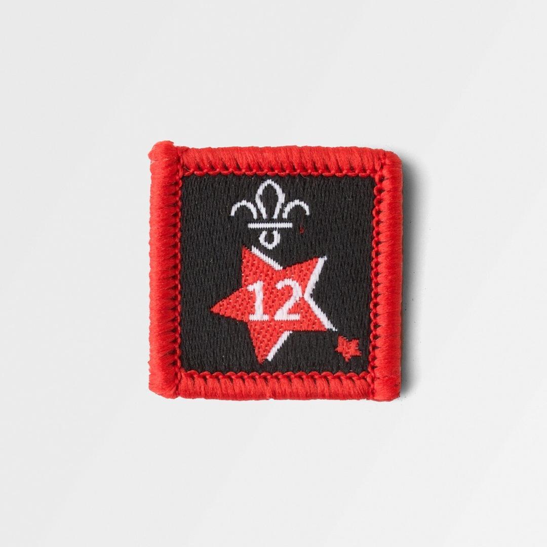 Joining in Award Badge 12 | Scouts