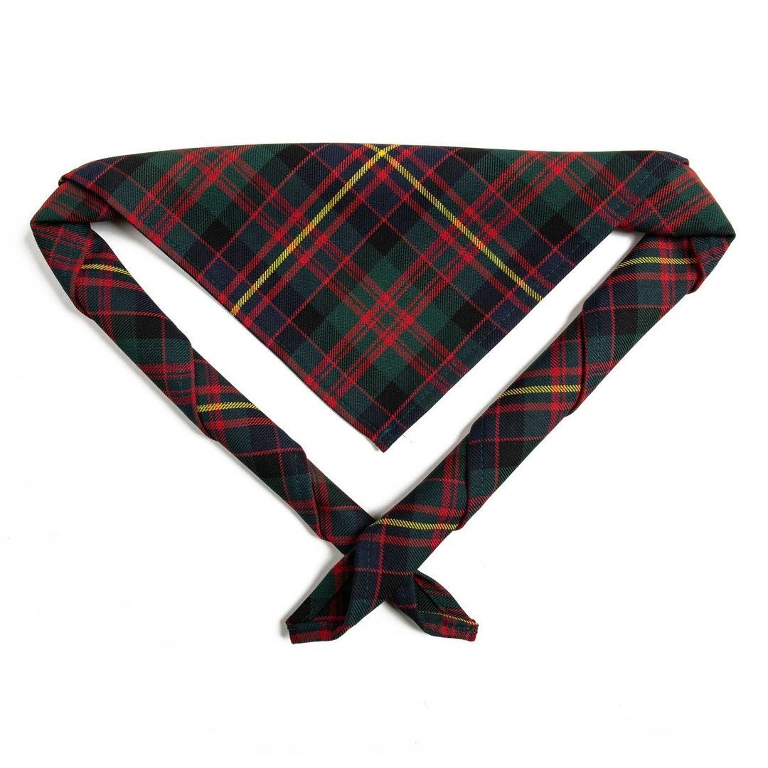Youth's Eracht Cameron Tartan Scarf/Necker