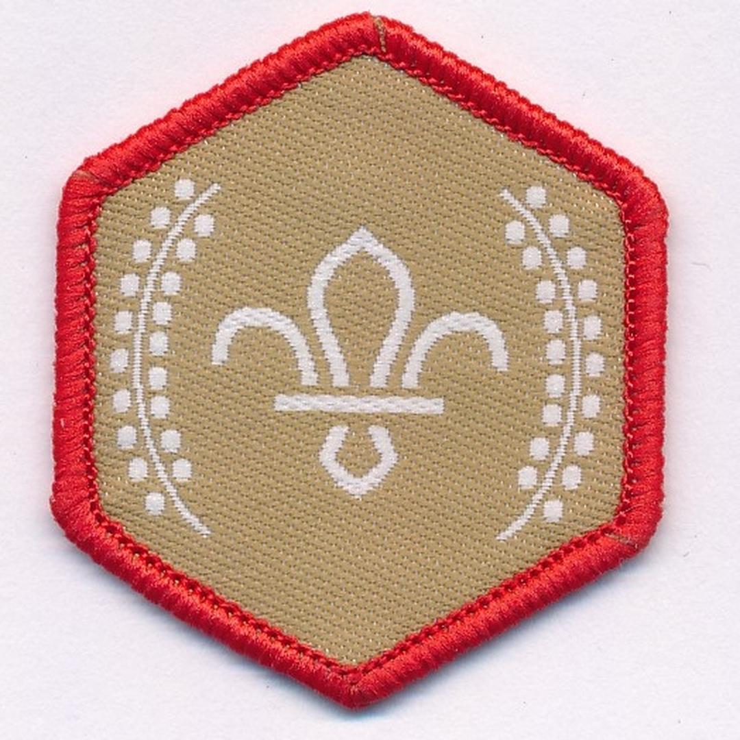 Chief Scouts's Gold Award Badge