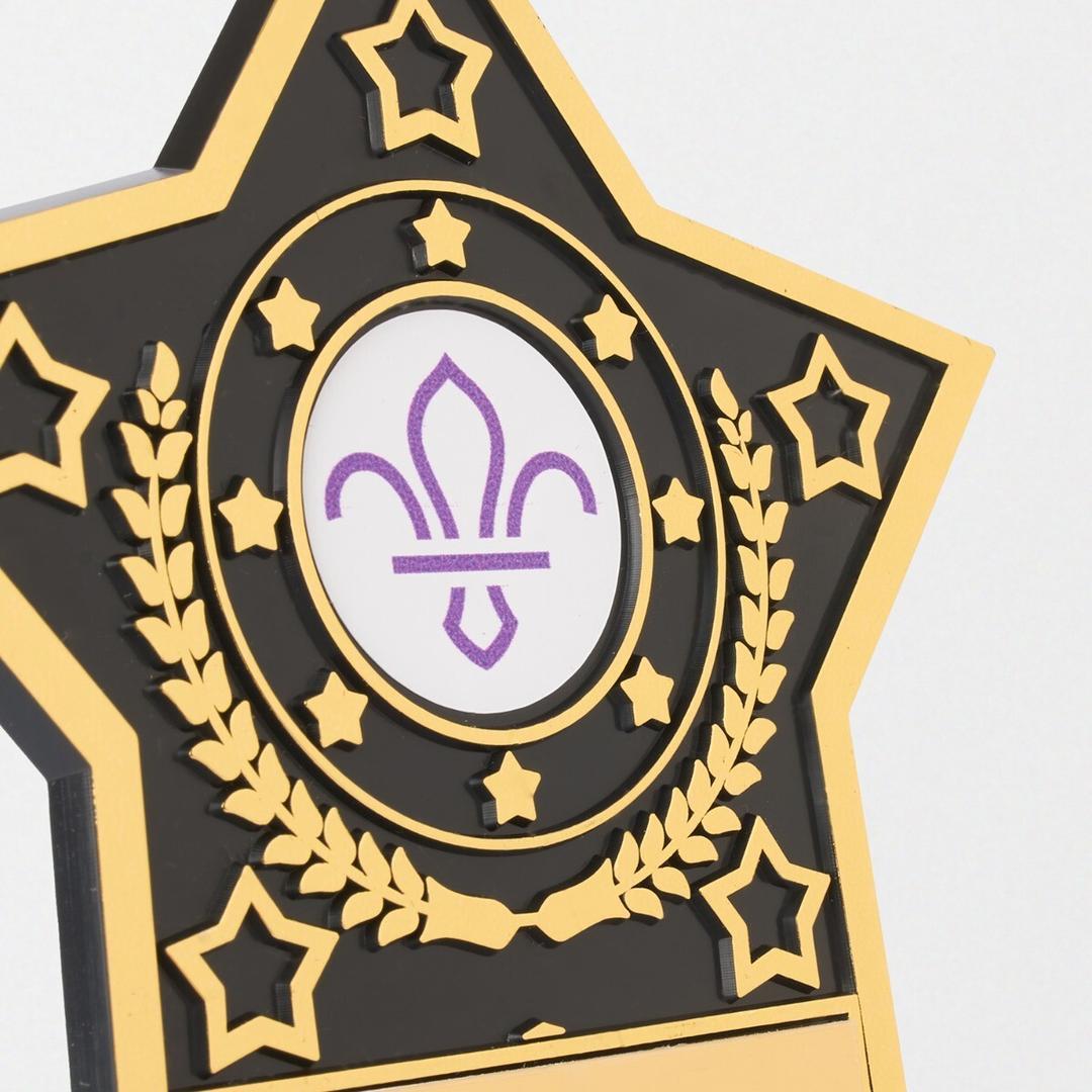 Star Trophy with Fleur de Lis Scouts Logo 10cm