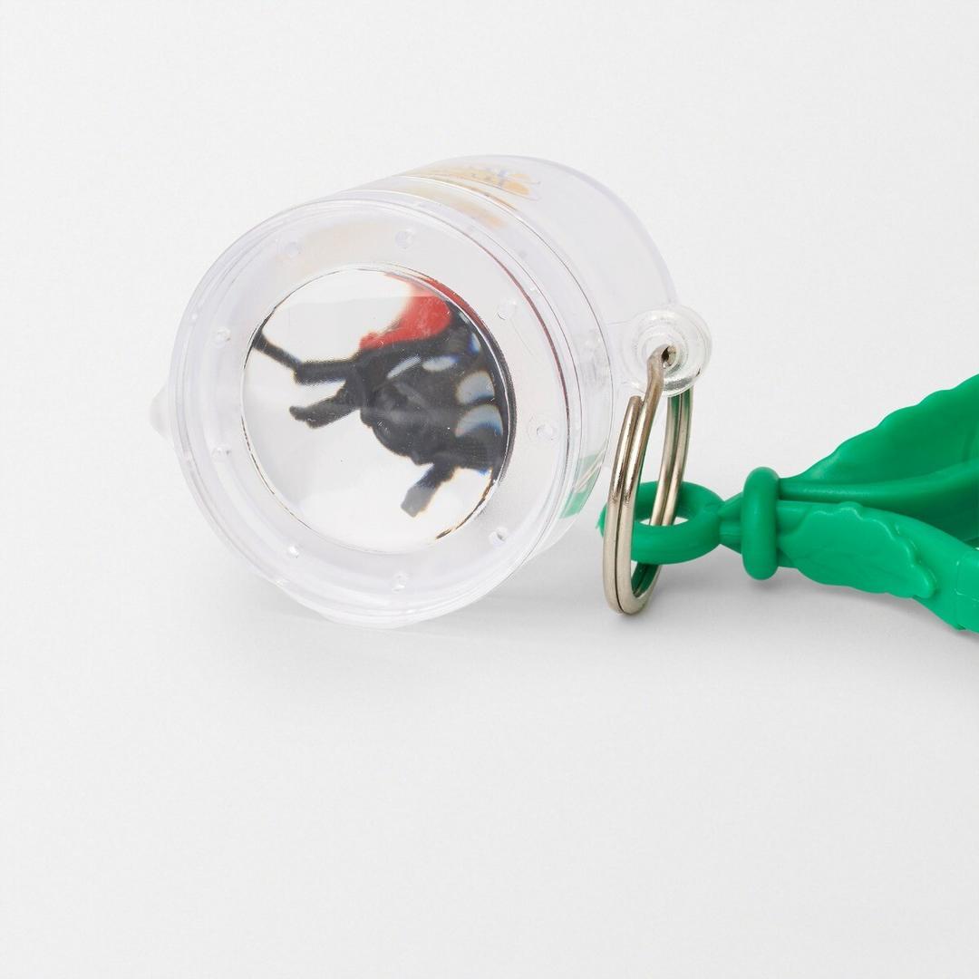 Insect Lore Clip-On Critter Carrier | Magnification Lens Lid