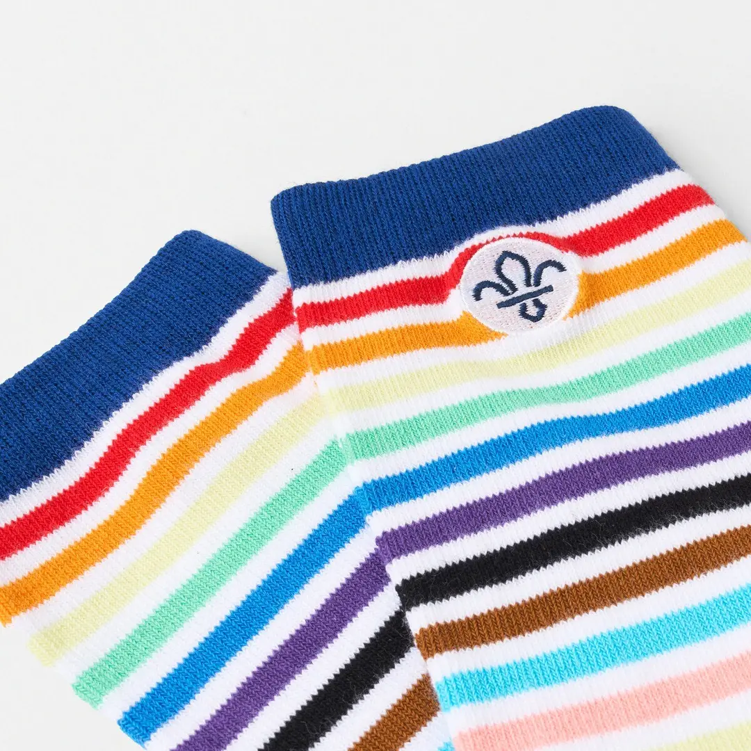 Scout Pride Progressive Flag Socks | Pride Socks