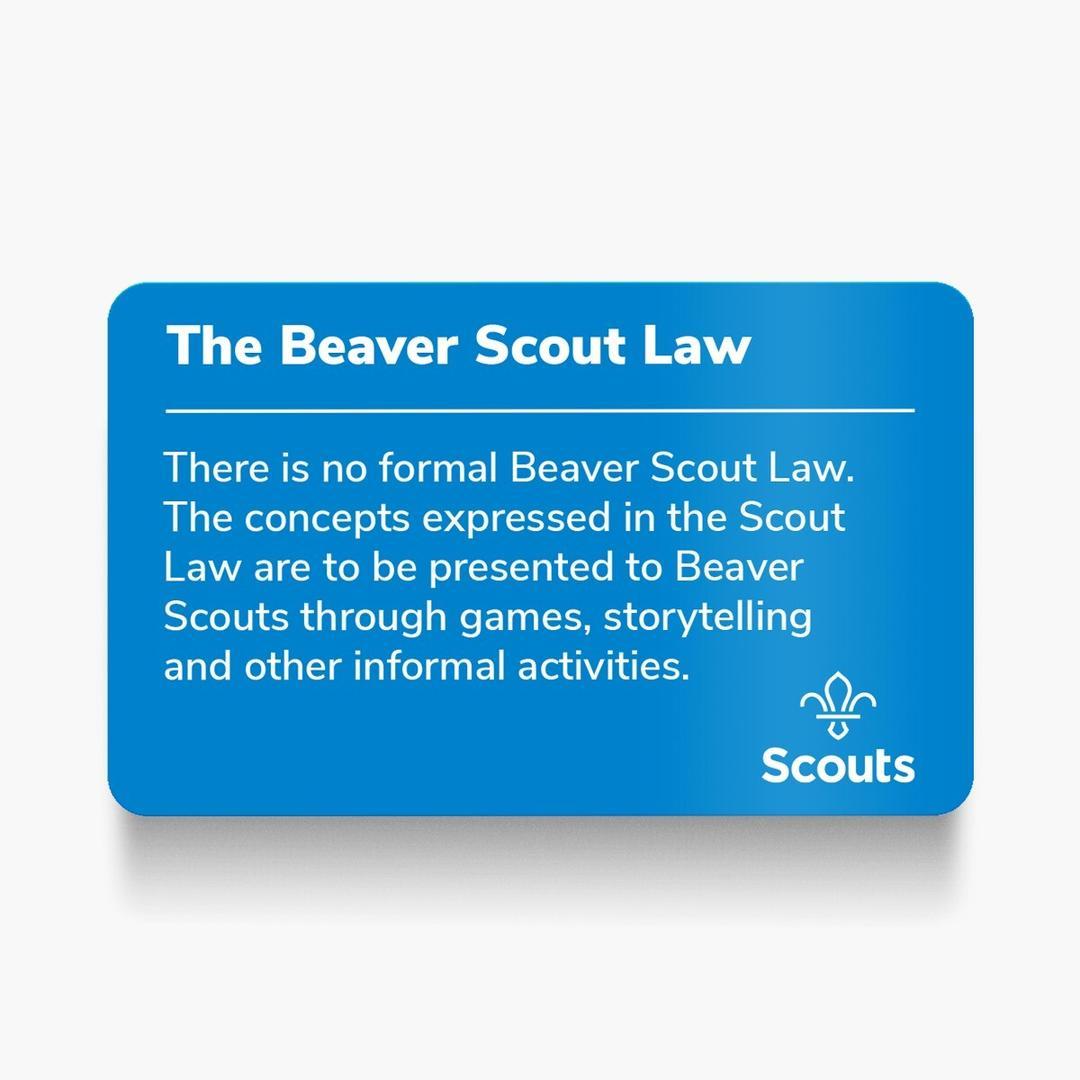 Beaver Scouts Promise Card - Humanist Mid-Season Sale