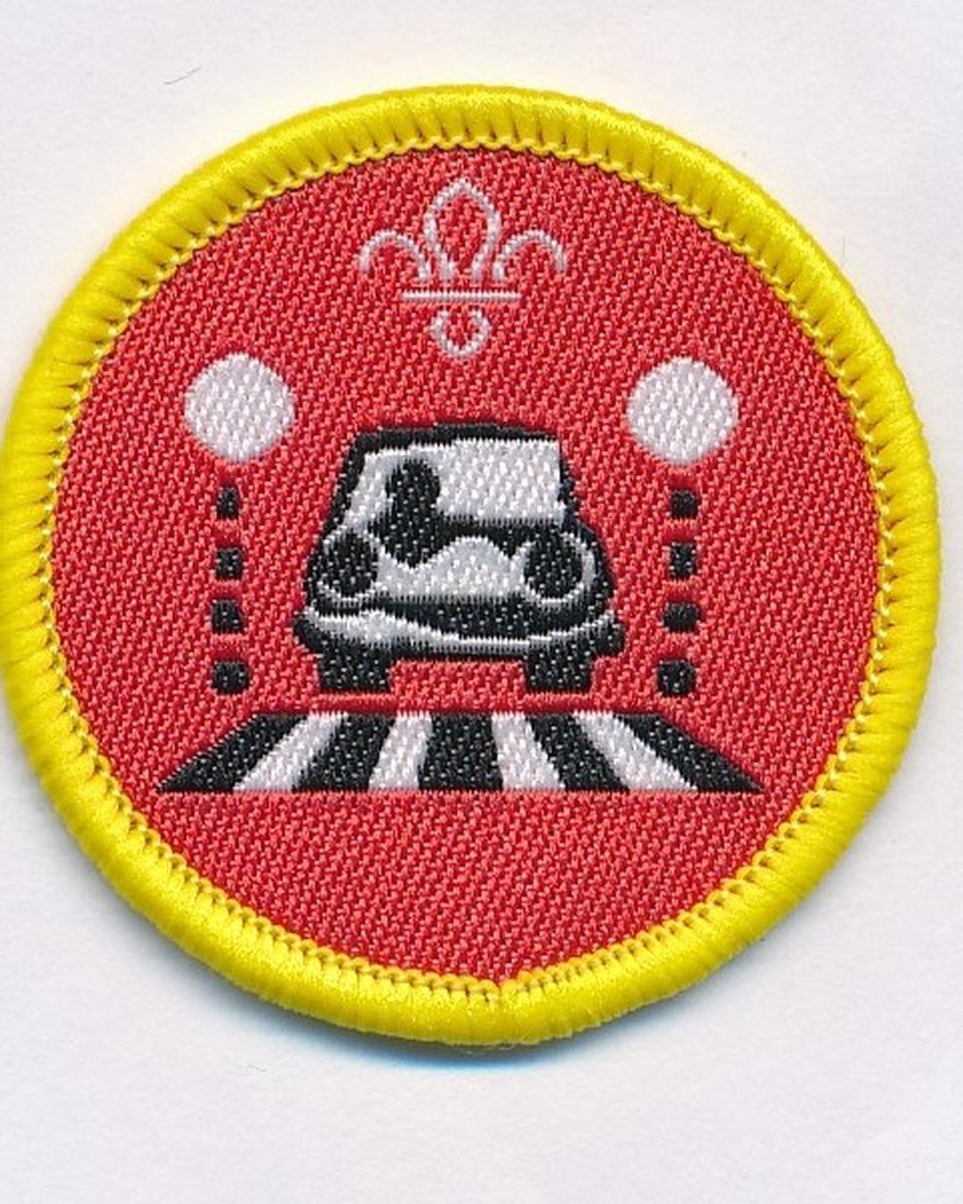Scout Swimmer Stage 1 Activity Badge Volunteer Leaders