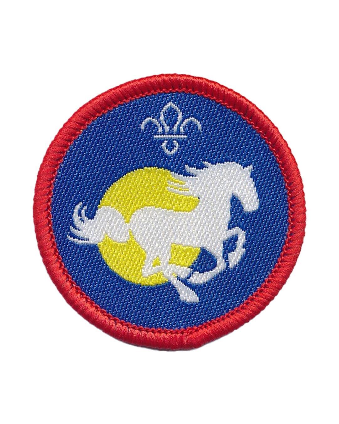 Scout Skills Challenge Award Badge Volunteer Leaders