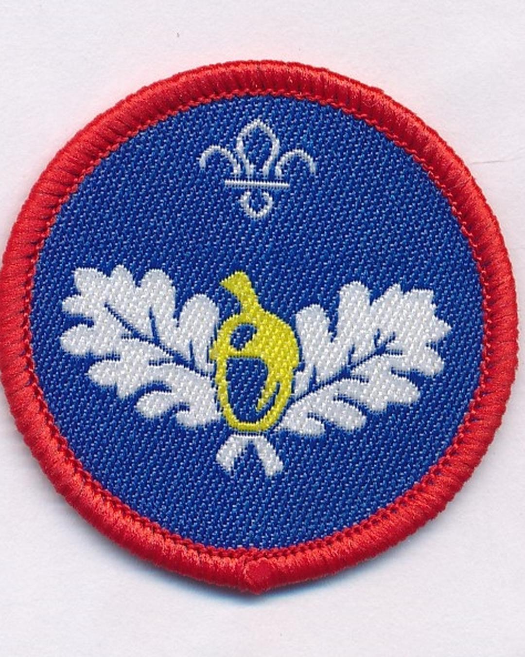 Cub Scout Our World Challenge Award Badge Volunteer Leaders