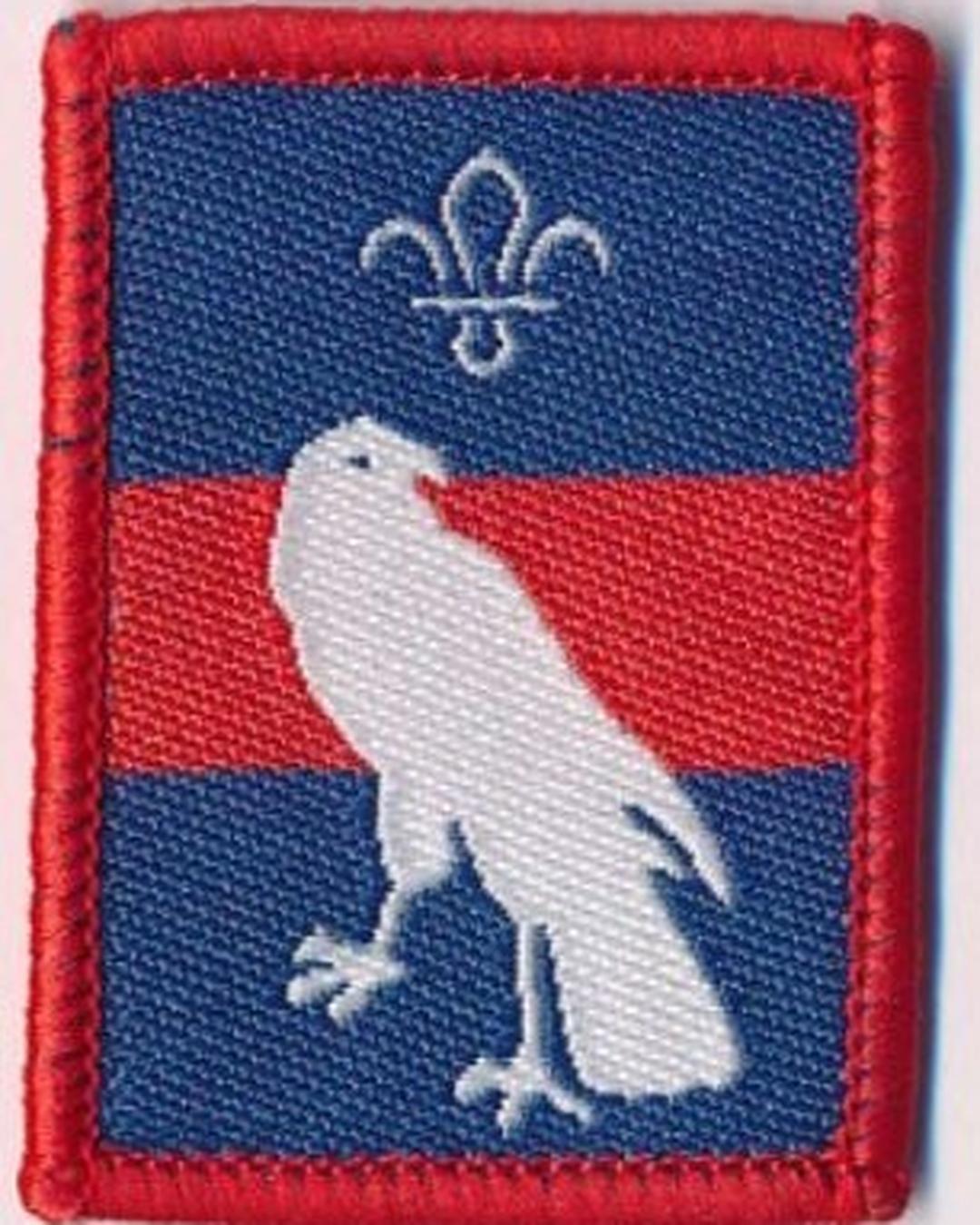 Squirrel Scout Let it Grow Activity Badge Volunteer Leaders