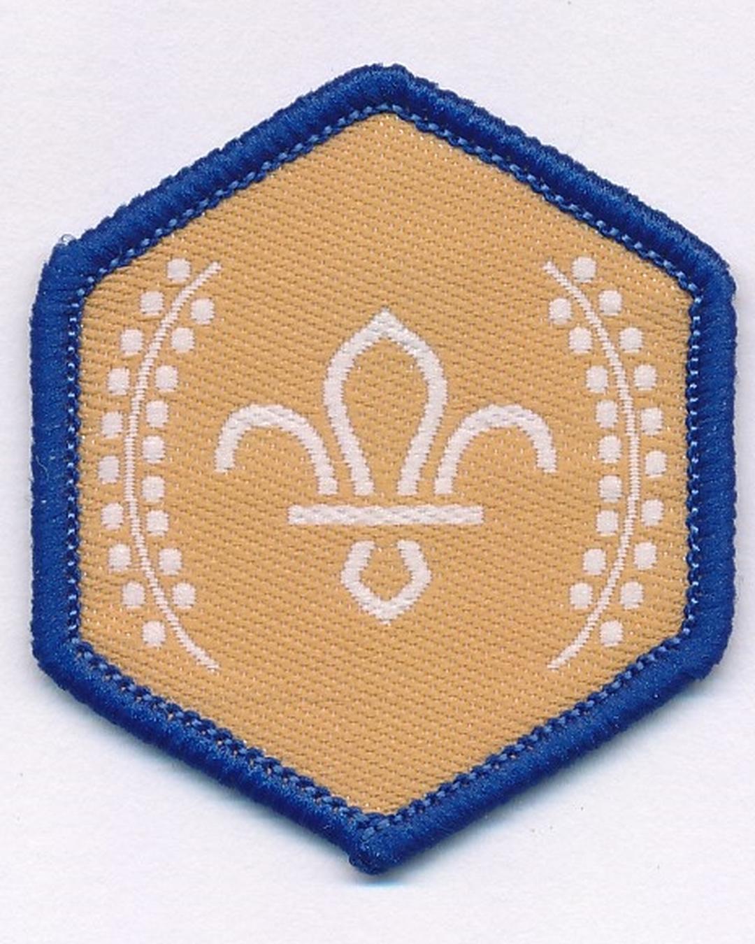 Beaver Scouts Scouts My Skills Challenge Award Badge Volunteer Leaders