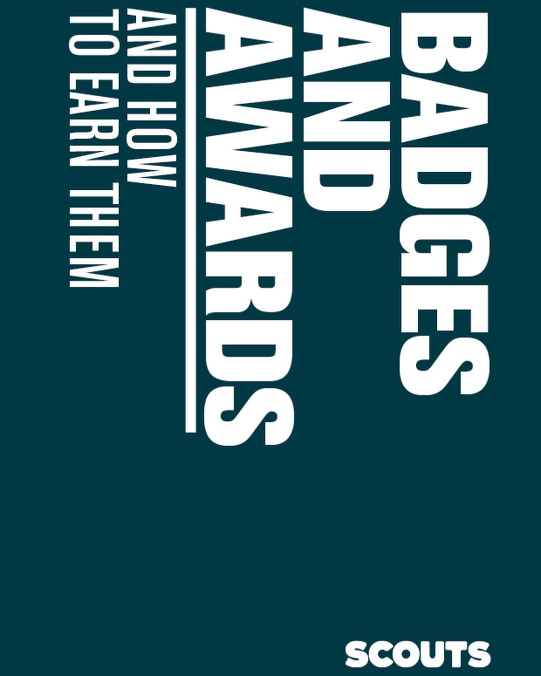 Scouts World Challenge Award Badge Volunteer Leaders