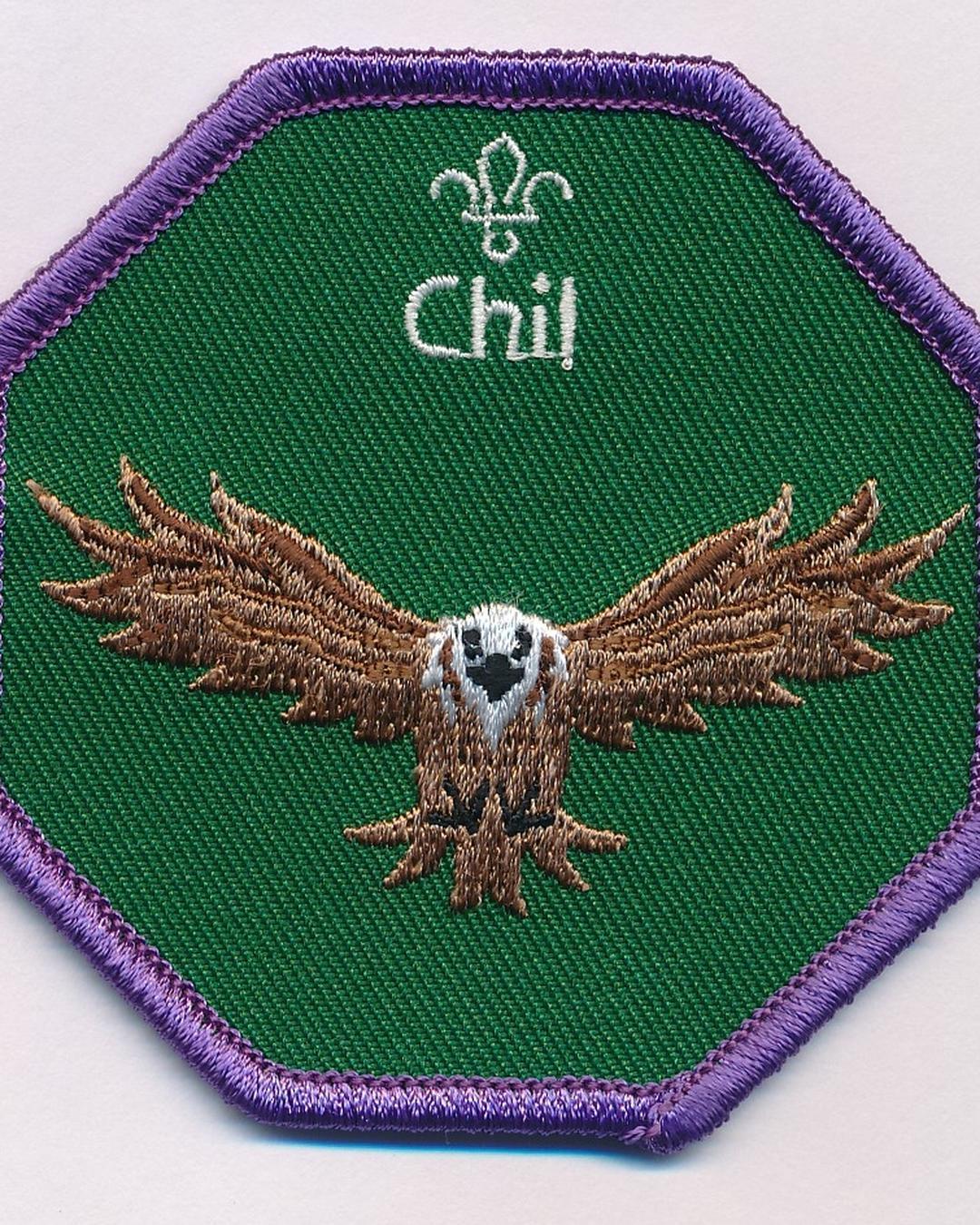 Cub Scouts Embroidered Youth Baseball Cap Scouts Sections