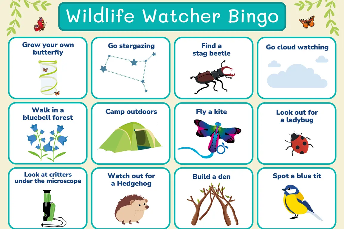 Wildlife Bingo