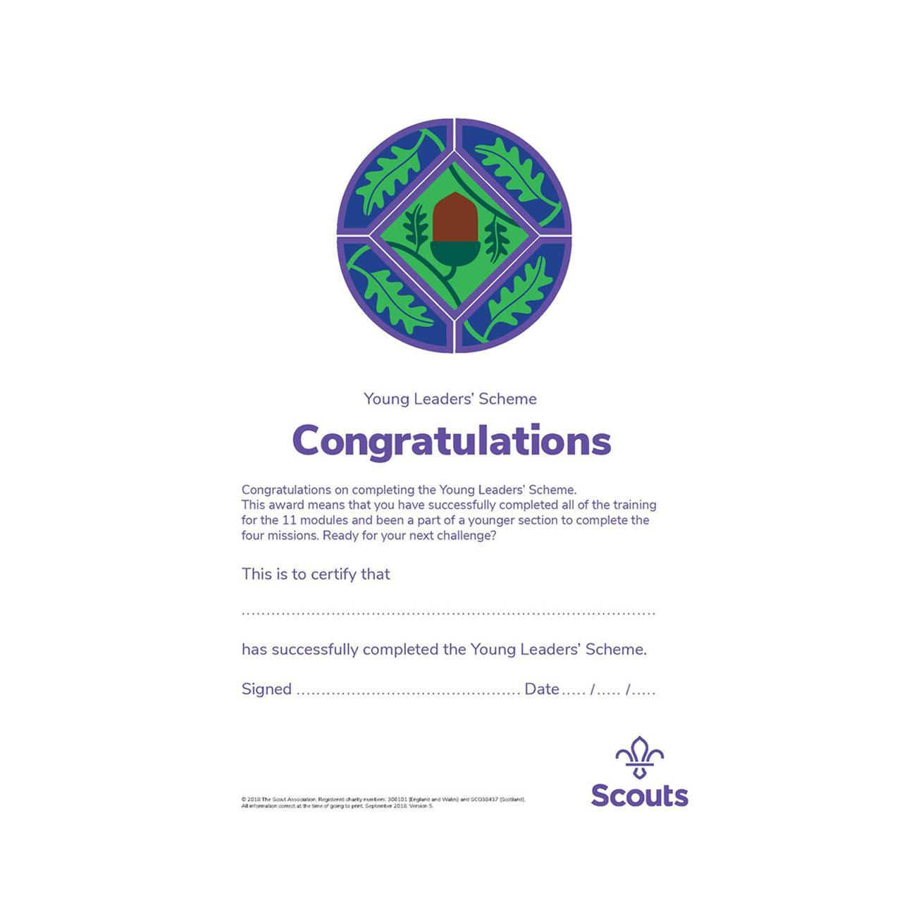 You Shape Beaver Scout Represent Badge