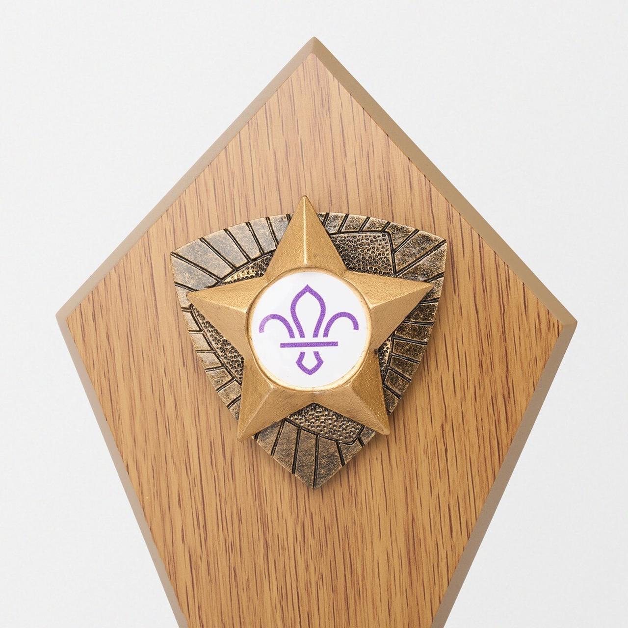 Wooden Star Award Trophy with Scouts Logo 17.5cm