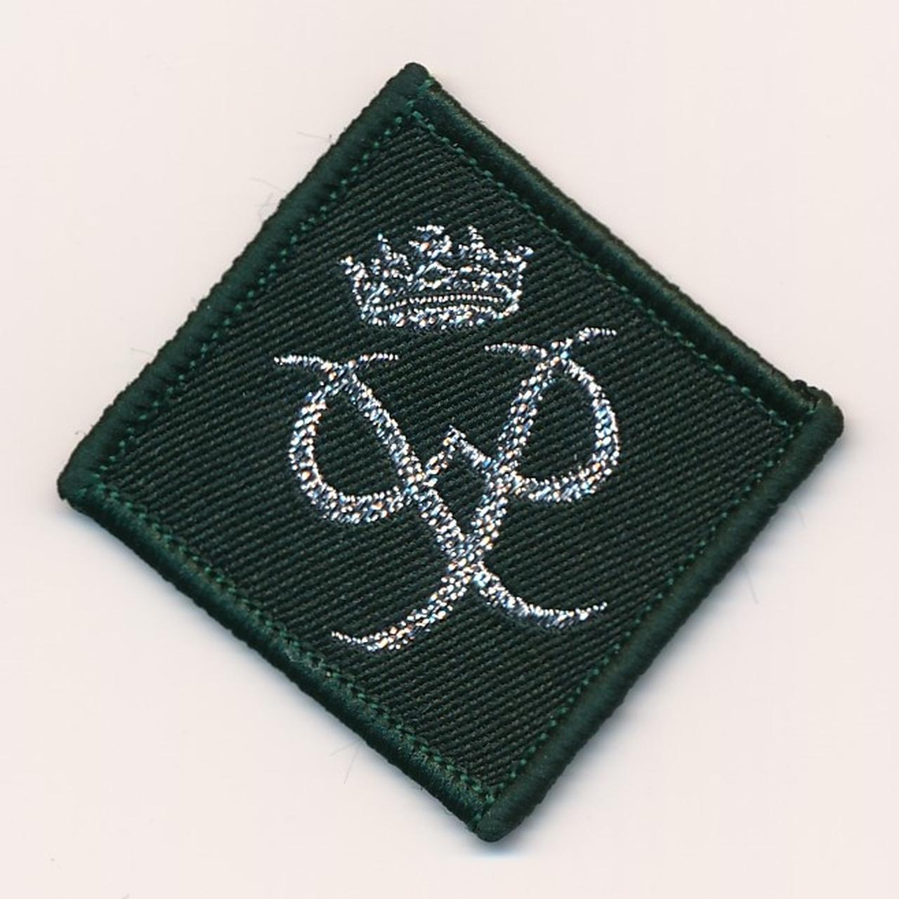 D. of E. Award Silver Volunteer Leaders