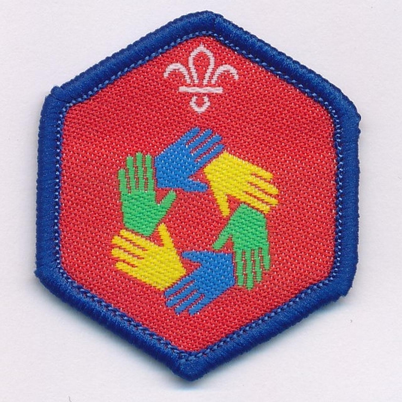 Beaver Scouts Scouts My Teamwork Challenge Award Badge Volunteer Leaders