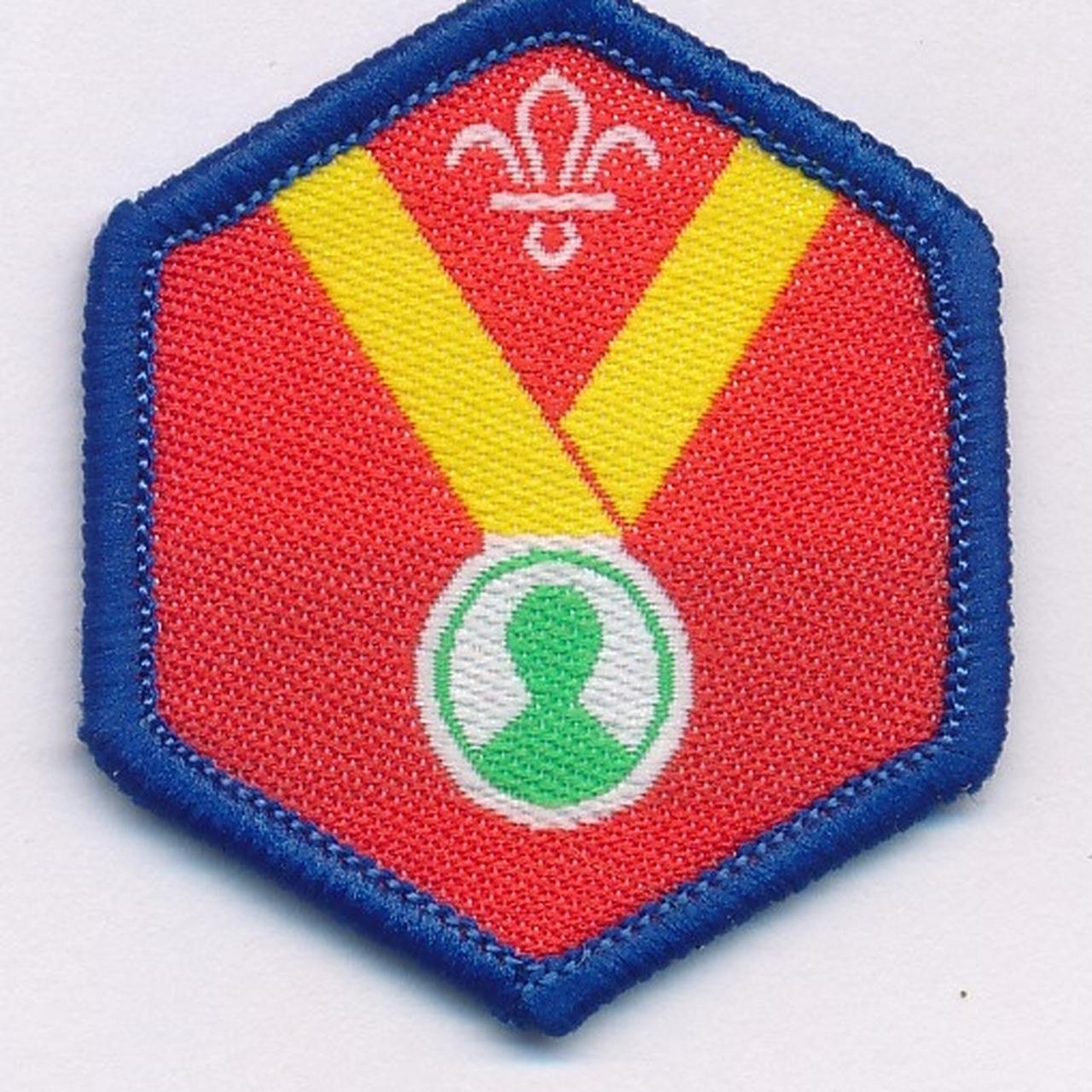 Beaver Scouts Scouts Personal Challenge Award Badge Volunteer Leaders