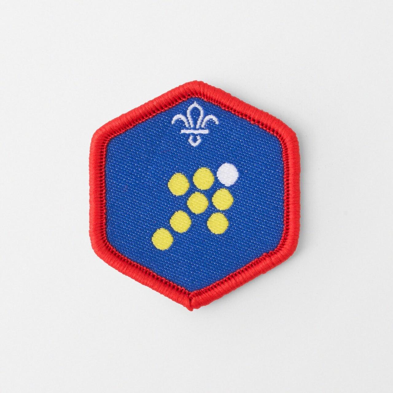 Scouts Team Leader Challenge Award Badge