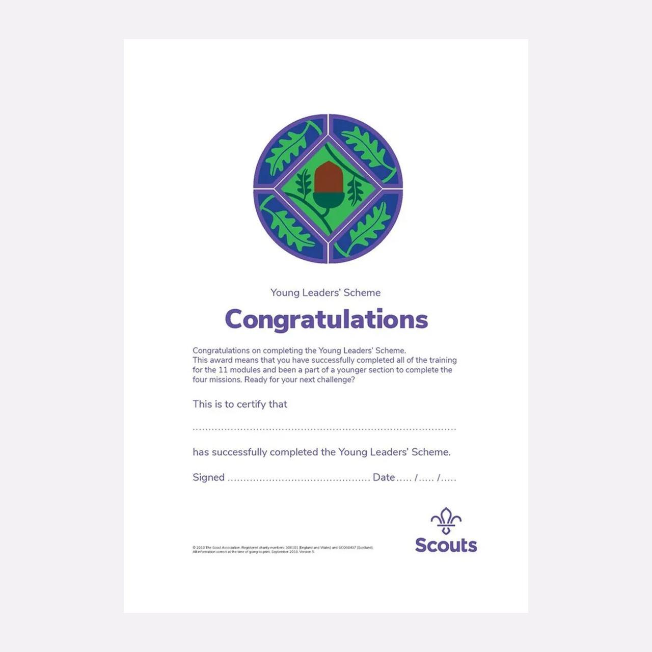 Young Leaders Completing the Scheme Certificate | Scouting