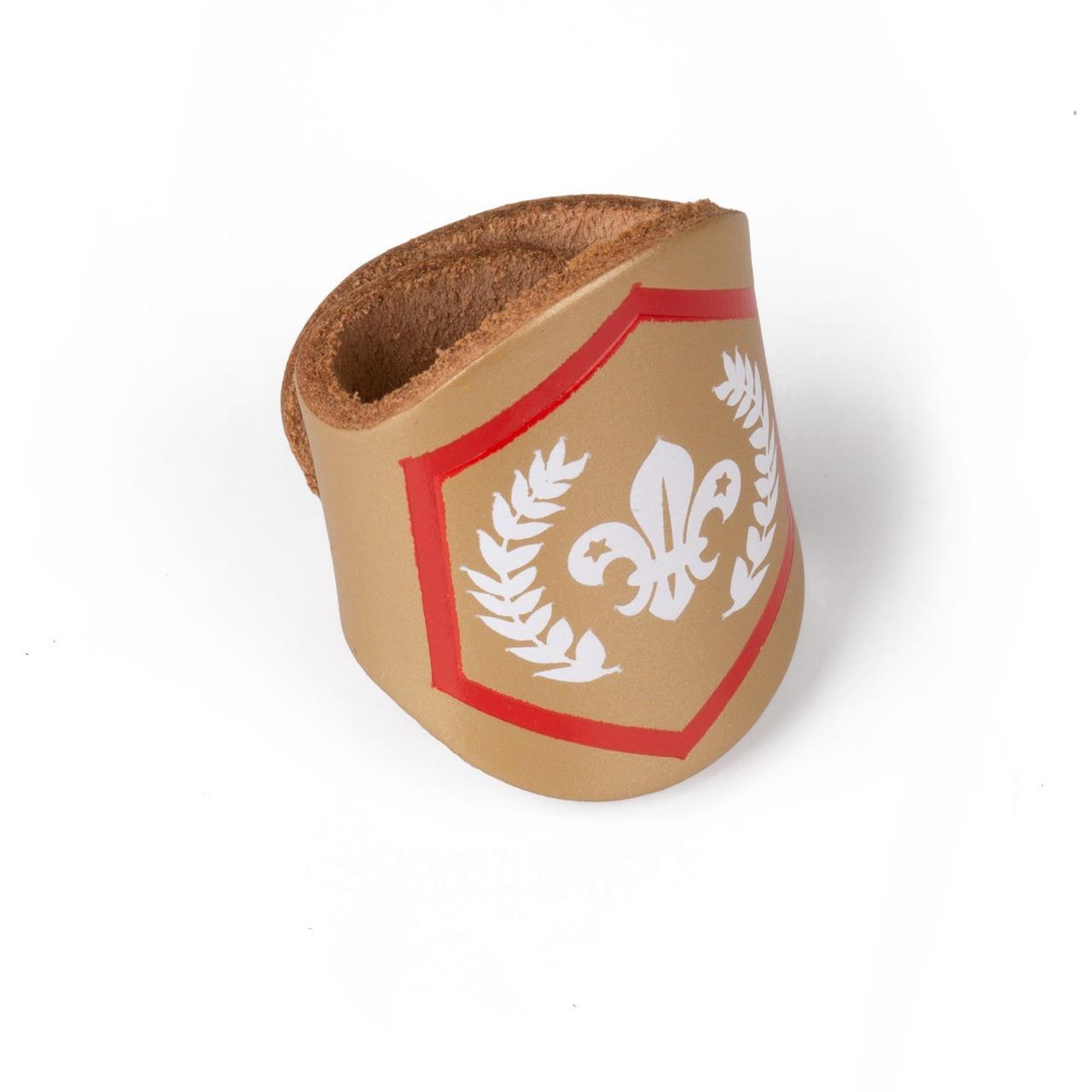 Chief Scout's Gold Award Woggle