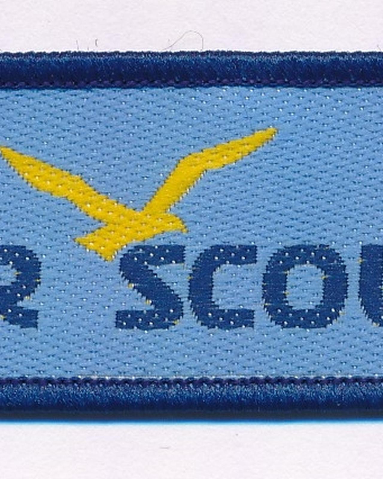 Air Scout Beret Scouts Sections