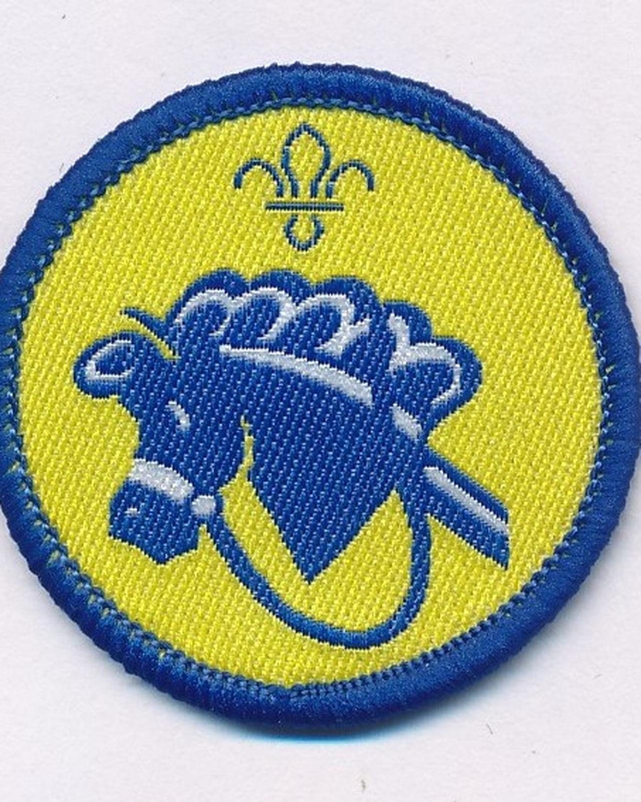 Explorers Badges and Awards Book Scouts Sections