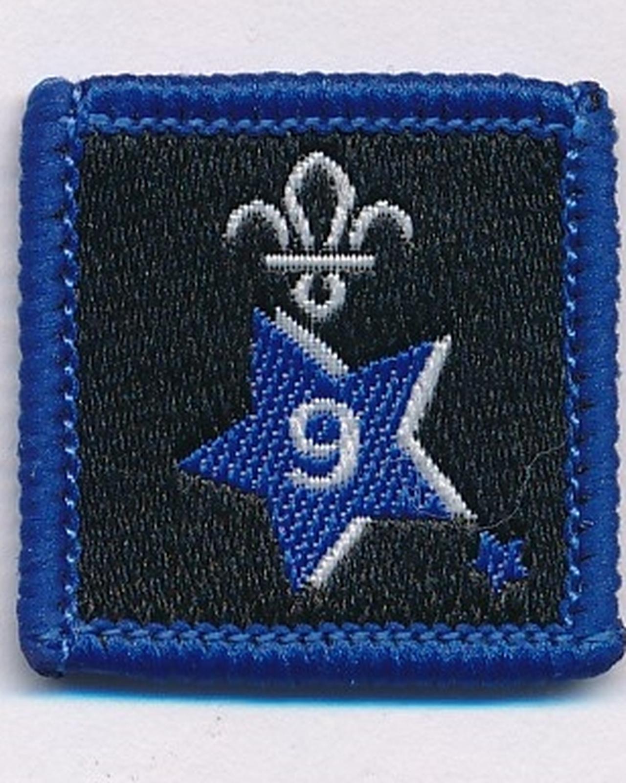 Squirrel Scouts Logo Fun Badge Scouts Sections