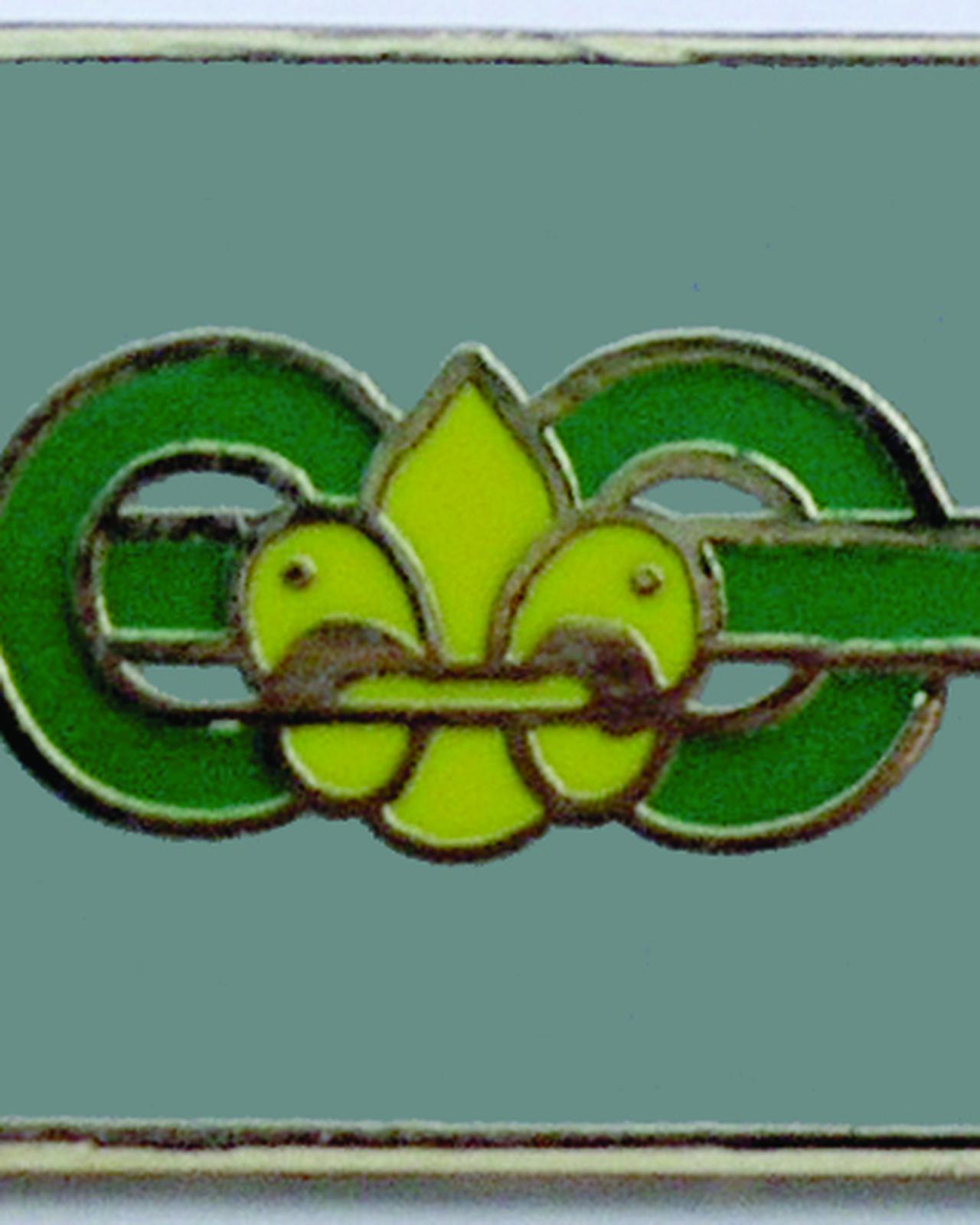 Chief Scouts Platinum Award Badge Volunteer Leaders