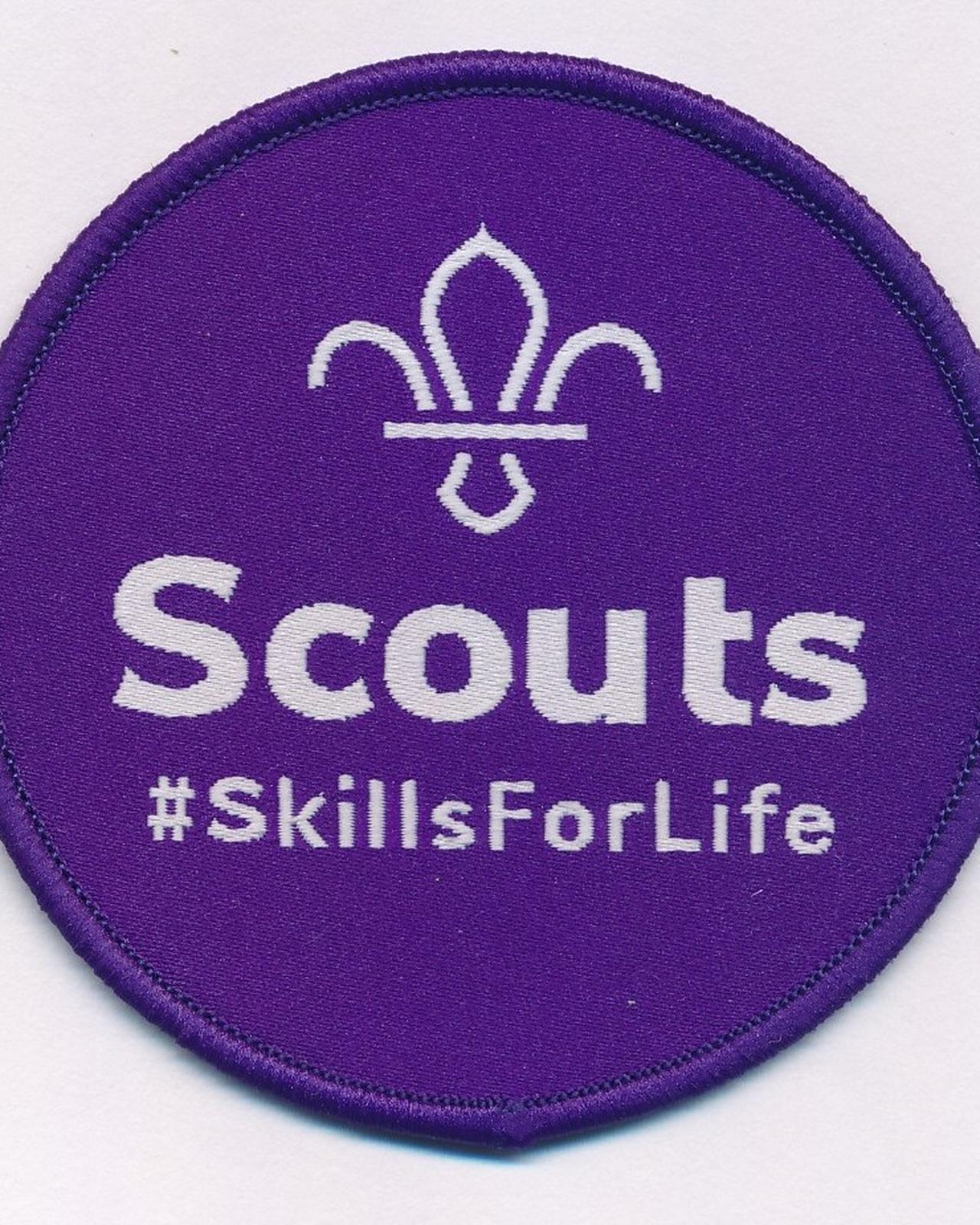 Scouts Promise Pin Scouts Sections