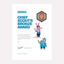 Chief Scout's Bronze Award Certificate - Pk of 10 | Beaver Scouts