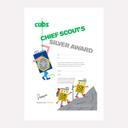 Chief Scout's Silver Award Certificate - Pk of 10 | Cub Scouts