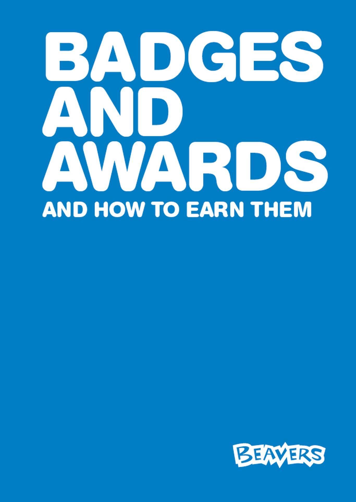 Beaver Scouts Scouts International Activity Badge