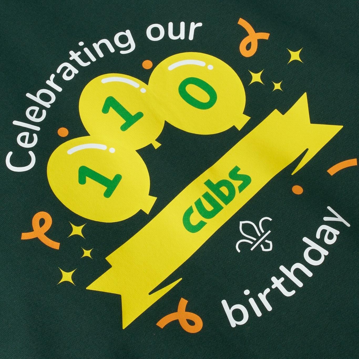 Cubs 110th Birthday Celebration Hoodie - Kids