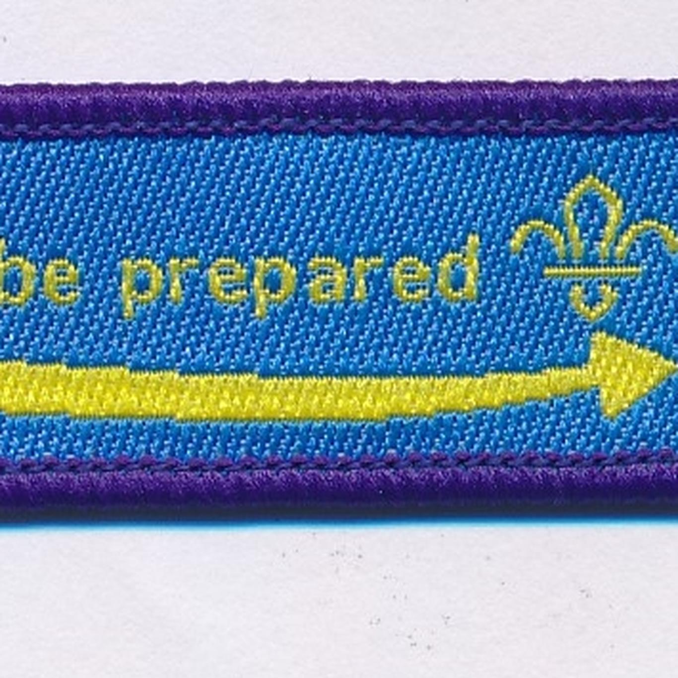 Explorer Scout Moving On Award badge Volunteer Leaders