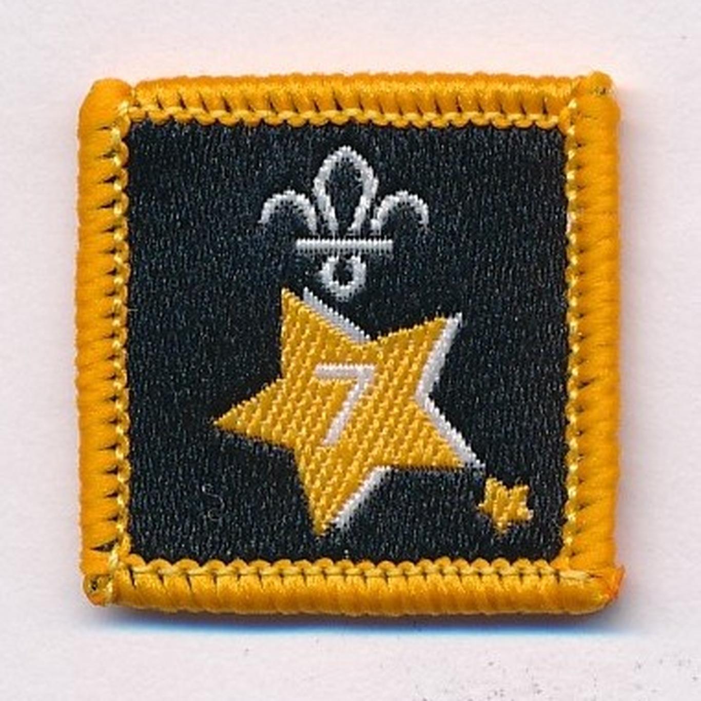 Joining in Award Badge 7 | Scouts Volunteer Leaders