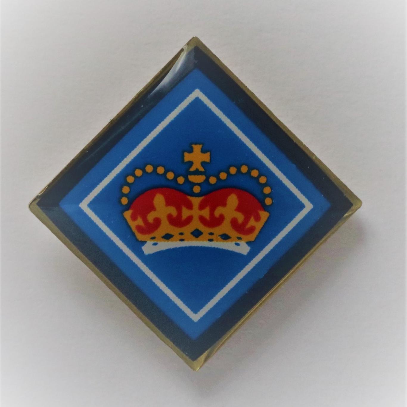 Queen's Scout Award Pin Badge
